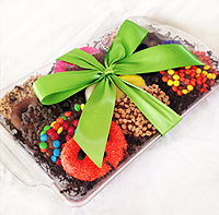 FRETZELS | Chocolate Covered Pretzels Tray